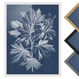 Blumen Bild mit Rahmen Denim Pflanzenstudie V