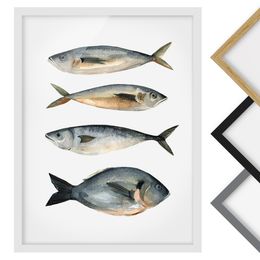 Aquarell Bild mit Rahmen Vier Fische in Aquarell I