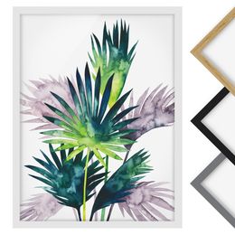 Aquarell Bild mit Rahmen Exotisches Blattwerk - F&auml;cherpalme