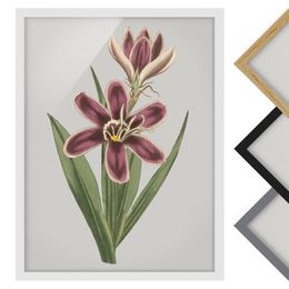Blumen Bild mit Rahmen Florale Schmuckst&uuml;cke II