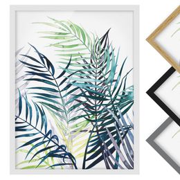 Blumen Bild mit Rahmen Exotisches Blattwerk - Palme