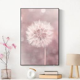 Akustik-Wechselbild Pusteblume Bokeh rosa