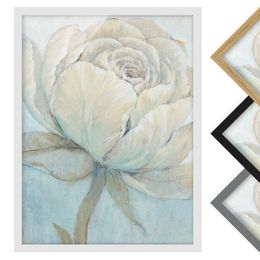 Blumen Bild mit Rahmen Englische Rose Pastell
