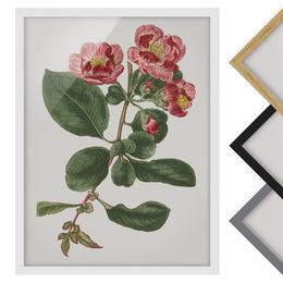 Blumen Bild mit Rahmen Florale Schmuckst&uuml;cke I