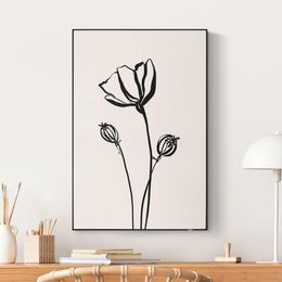 Akustik-Wechselbild Mohn Illustration II