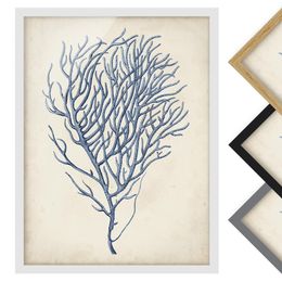 Strand Bild mit Rahmen Indigo Koralle III