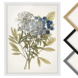 Blumen Bild mit Rahmen Wildkr&auml;uter Schautafel I