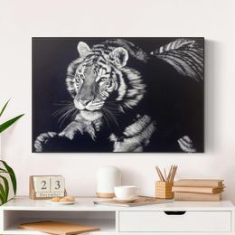Akustik-Wechselbild Tiger im Sonnenlicht vor Schwarz