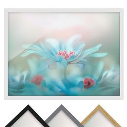 Blumen Bild mit Rahmen Zarte Bl&uuml;ten in Pastell