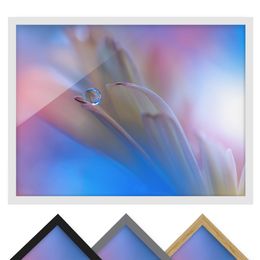 Blumen Bild mit Rahmen Touch Me Softly