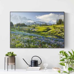 Bilderwelten Akustik-Wechselbild Bergwiese mit blauen Blumen vor Mt. Rainier