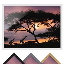 Natur & Landschaft Bild mit Rahmen Safari in Afrika