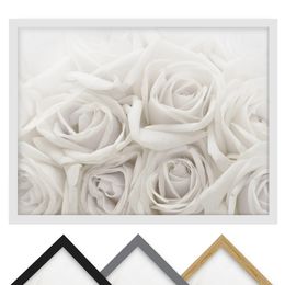 Blumen Bild mit Rahmen Wei&szlig;e Rosen