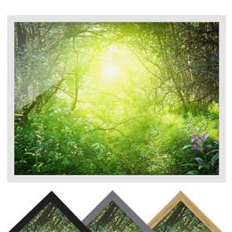 Natur & Landschaft Bild mit Rahmen Traumzauberwald