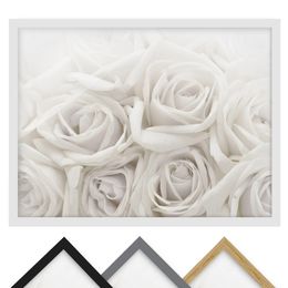 Blumen Bild mit Rahmen Wei&szlig;e Rosen