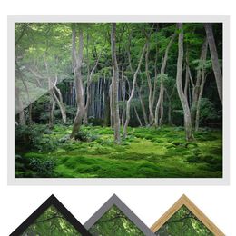 Natur & Landschaft Bild mit Rahmen Japanischer Wald