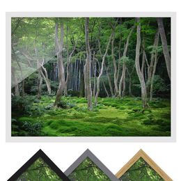 Natur & Landschaft Bild mit Rahmen Japanischer Wald
