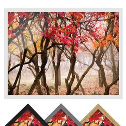 Natur & Landschaft Bild mit Rahmen Japan im Herbst