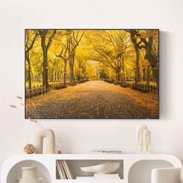 Akustik-Wechselbild Herbst im Central Park
