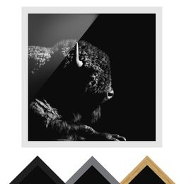 Schwarz-Wei&szlig; Bild mit Rahmen Bison vor Schwarz