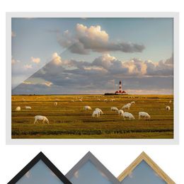 Natur & Landschaft Bild mit Rahmen Nordsee Leuchtturm mit Schafsherde