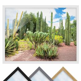 Natur & Landschaft Bild mit Rahmen Kakteen Landschaft