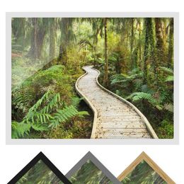 Natur & Landschaft Bild mit Rahmen Pfad im Urwald