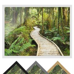 Natur & Landschaft Bild mit Rahmen Pfad im Urwald