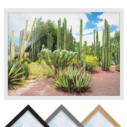 Natur & Landschaft Bild mit Rahmen Kakteen Landschaft