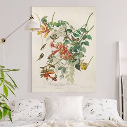 Bilderwelten Leinwandbild Vintage Lehrtafel Rubinkehlkolibris Leinwanddruck Vintage,Tiere V&ouml;gel,Botanik Blume,Botanik Pflanzen Wandbild Wohnzimmer