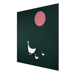 Bilderwelten Alu Dibond Outdoor Bild Tiere petrol Illustration wetterfest - Familie Gans auf Wanderschaft - V&ouml;gel Kinderzimmer Baby M&auml;dchen Jungen