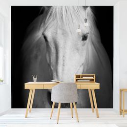 Bilderwelten Tapete - Fototapete Pferdetapete - Dream of a Horse - Pferd - M&auml;dchenzimmer - Wandtapete Schlafzimmer Wohnzimmer - auch selbstklebend