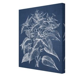 Bilderwelten Leinwandbild Botanik Denim Pflanzenstudie III - Leinwanddruck Hochformat - Wandbild S-XXL - moderne Bilder auf Leinwand Flur Wohnzimmer