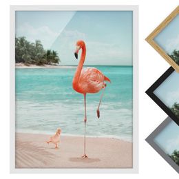 Bild mit Rahmen Strand mit Flamingo