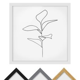 Bild mit Rahmen Line Art Pflanze Bl&auml;tter Schwarz Wei&szlig;