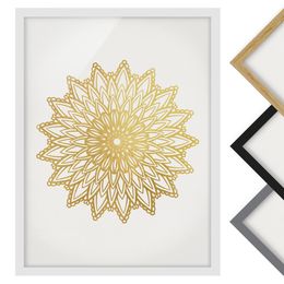 Bild mit Rahmen Mandala Sonne Illustration wei&szlig; gold