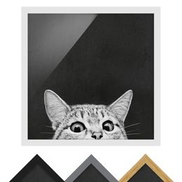 Bild mit Rahmen Illustration Katze Schwarz Wei&szlig; Zeichnung