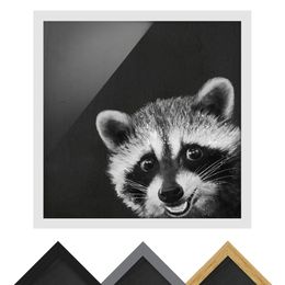 Bild mit Rahmen Illustration Waschb&auml;r Schwarz Wei&szlig; Malerei