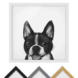 Bild mit Rahmen Illustration Hund Boston Schwarz Wei&szlig; Malerei