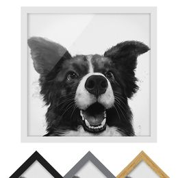 Bild mit Rahmen Illustration Hund Border Collie Schwarz Wei&szlig; Malerei
