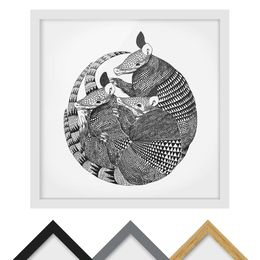 Bild mit Rahmen Illustration G&uuml;rteltiere Schwarz Wei&szlig; Muster