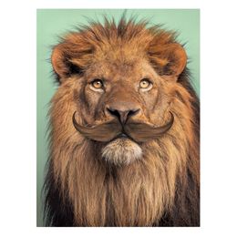 Bilderwelten Leinwandbild Jonas Loose Kinderzimmer Pop Art Tiere L&ouml;we mit Bart - Leinwanddruck Hochformat - Wandbild S-XXL - moderne Babyzimmer Kleinkind Bilder