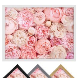 Bild mit Rahmen Rosen Ros&eacute; Koralle Shabby