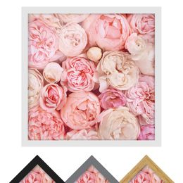 Bild mit Rahmen Rosen Ros&eacute; Koralle Shabby