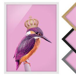 Bild mit Rahmen Rosa Eisvogel mit Krone