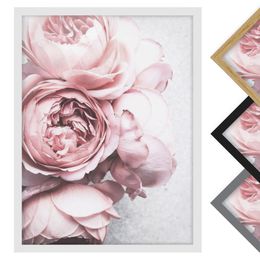 Bild mit Rahmen Rosa Pfingstrosenbl&uuml;ten Shabby Pastell