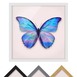 Bild mit Rahmen Holografischer Schmetterling