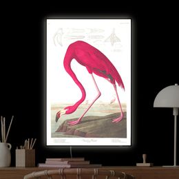 Bilderwelten LED-Wechselbild Vintage Lehrtafel Amerikanischer Flamingo