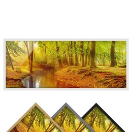 Wald Bild mit Rahmen Herbstwald