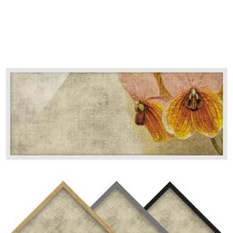 Blumen Bild mit Rahmen Forgotten Beauties III